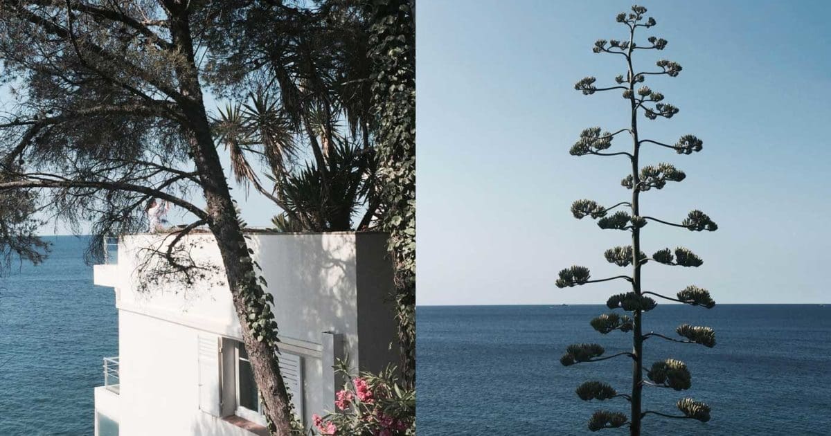 Les Roches Rouges – Residences Decoration Magazine