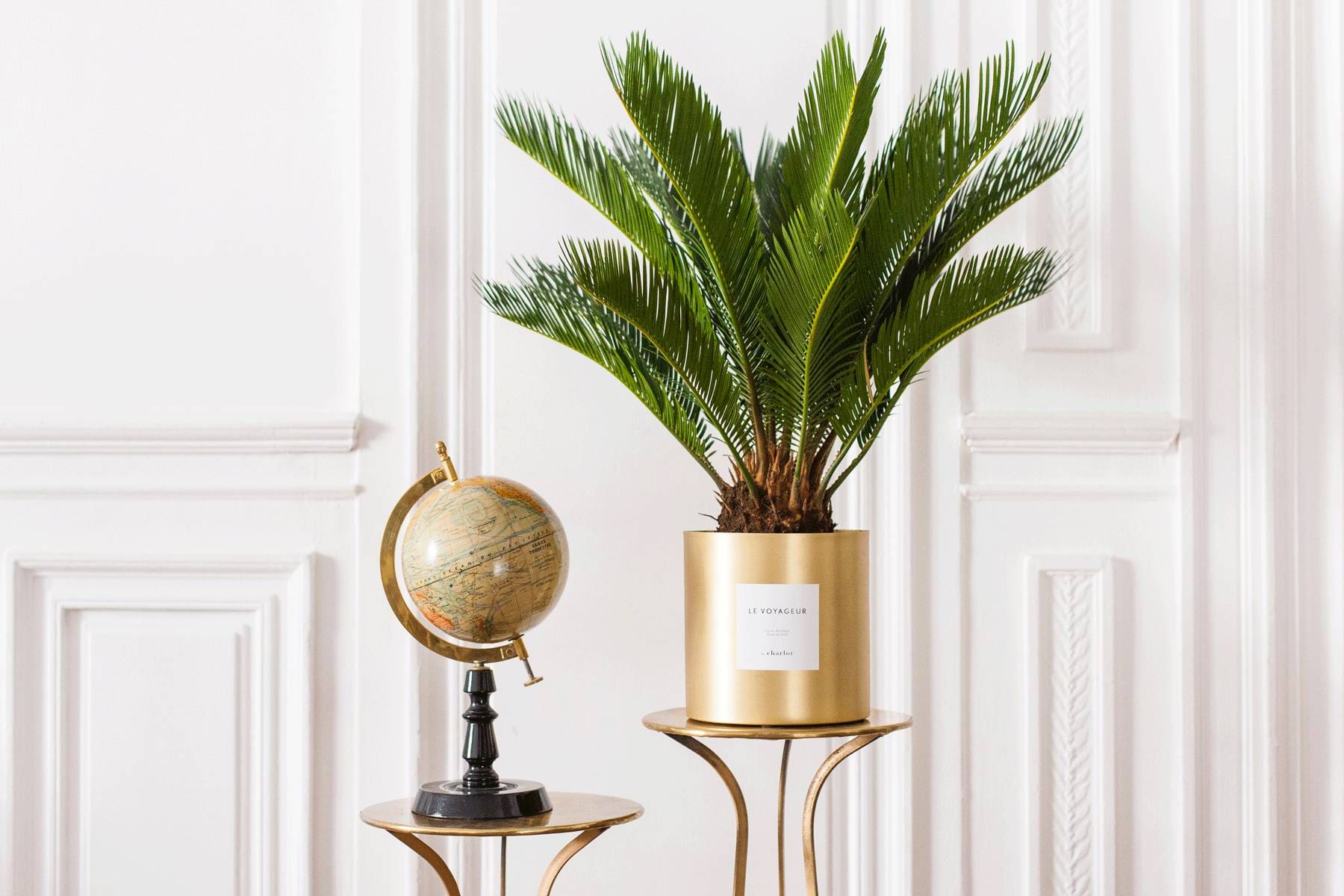 Maison BY CHARLOT… quand les plantes deviennent objet de luxe et de ...
